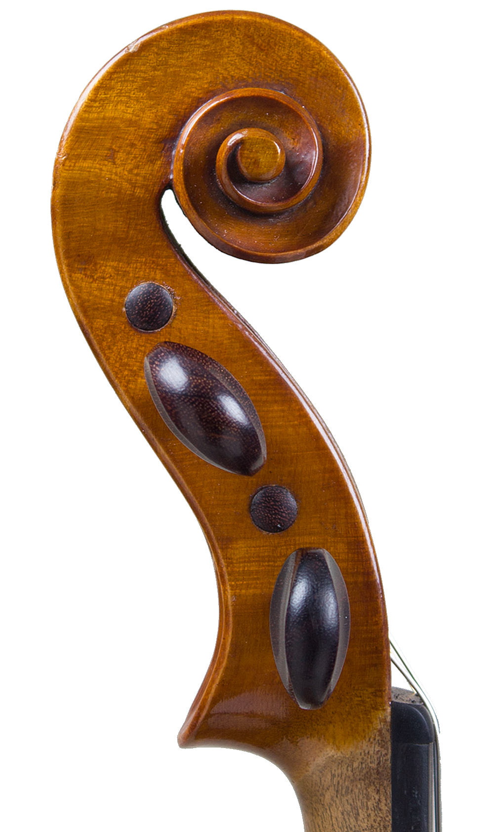 Wolff Bros, Germany 1906 Violin For Sale | Tim Toft Violins
